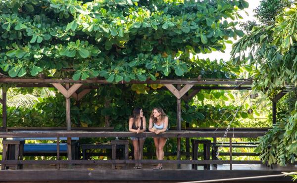 Mango Inn Resort 3* Utila, Honduras (45 guest reviews). Book hotel ...