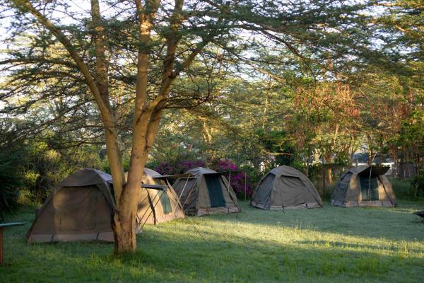 Burch's Resort Naivasha Camping 3* Naivasha, Nakuru County (23 guest ...