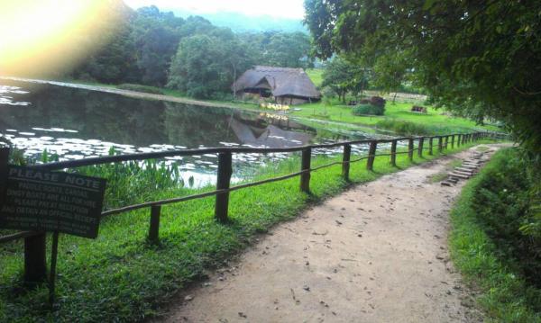 Hotel Eden Lodge Vumba 3* (8 guest reviews) Mutare, Manicaland. Reviews ...