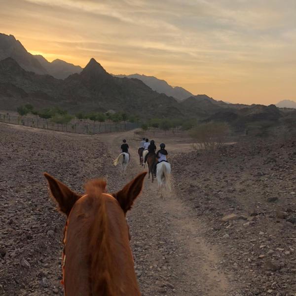 Hatta Sedr Trailers Resort 2* Hatta, Dubai Emirate, UAE. Book hotel ...