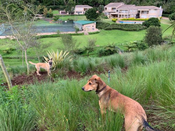 Closest Hotels to Springside Nature Reserve