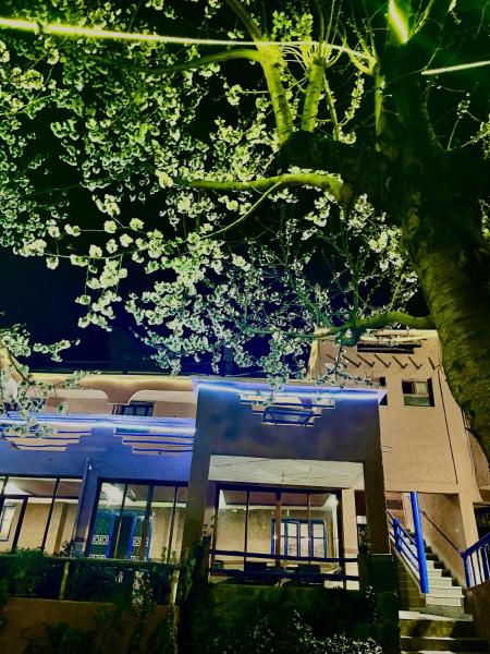 Hostel Auberge De La Vallée (18 guest reviews) Imlil, Al Haouz. Reviews ...