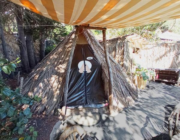 Tented camp Studio Mazo The Glamping Lodero, La Palma (8 Comentarios ...
