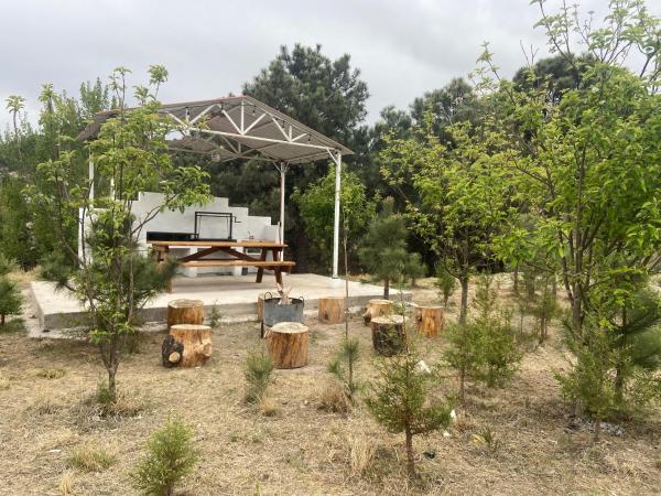 Cabañas Rochivo Ranch Creel, Barranca del Cobre (23 Comentarios del ...