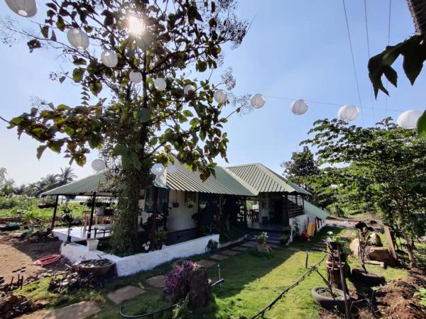 Osaree Agro and Art Hub Kolhapur, Maharashtra (8 Comentarios del ...