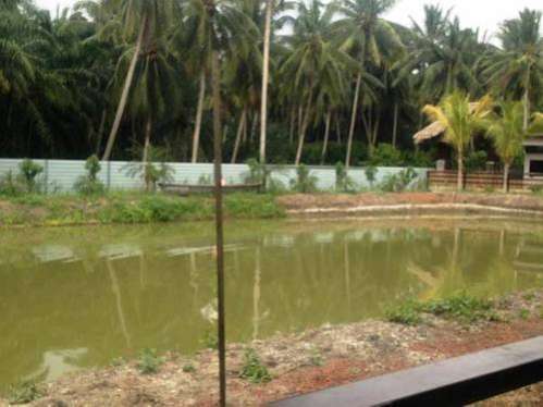 Farm Stay HS Farmstay rates from $40 (32 guest reviews) Muar, Johor ...